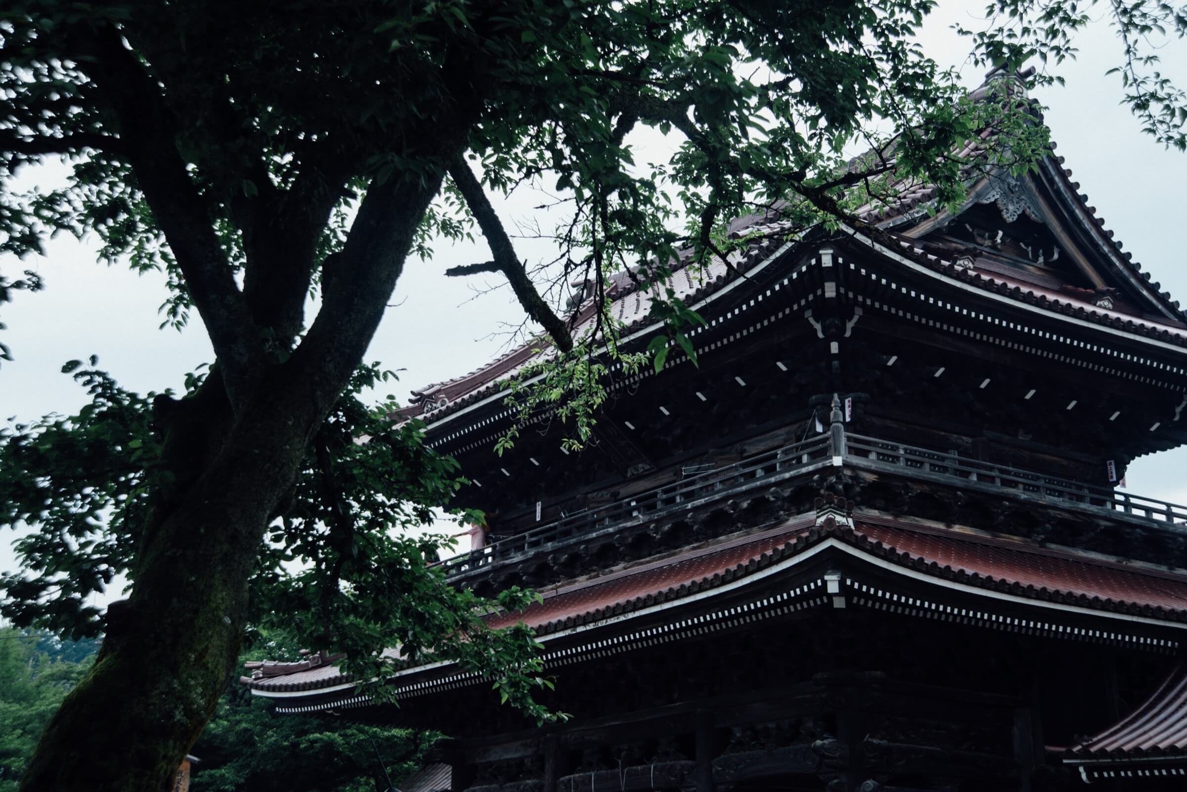 LOOP INAMI ループイナミ